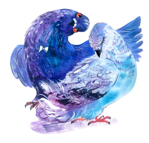 The Coming of Spring - Intimacy Matters